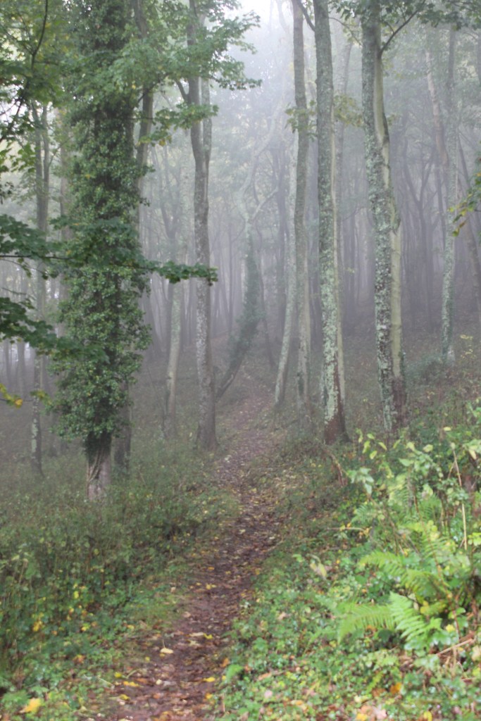 Poem: Bricks without straw II – Exodus poems 7 | Andrea Skevington