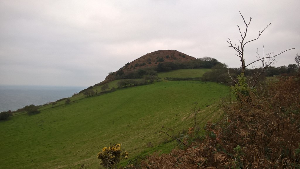 Poem: Moses and the Burning Bush – Exodus Poems 4 | Andrea Skevington