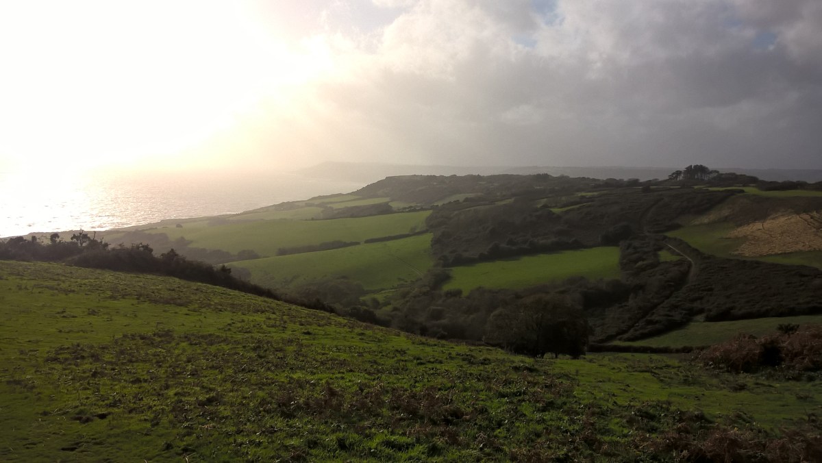 Dorset Poems – Autumn lambs at Upcot farm | Andrea Skevington