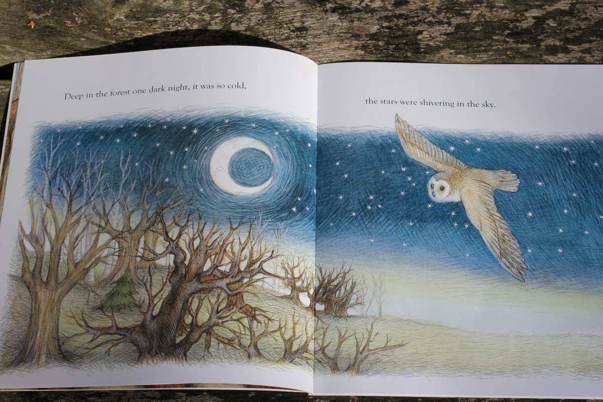 The Little Christmas Tree – a beautiful BSL video telling of the story ...