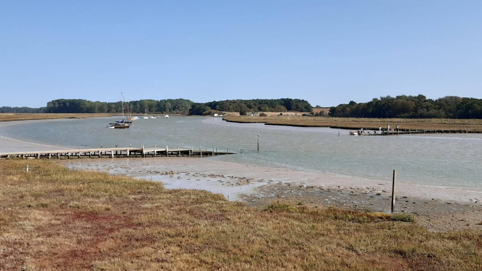 Poem: Wings – Boyton salt-marshes, Autumn Equinox | Andrea Skevington